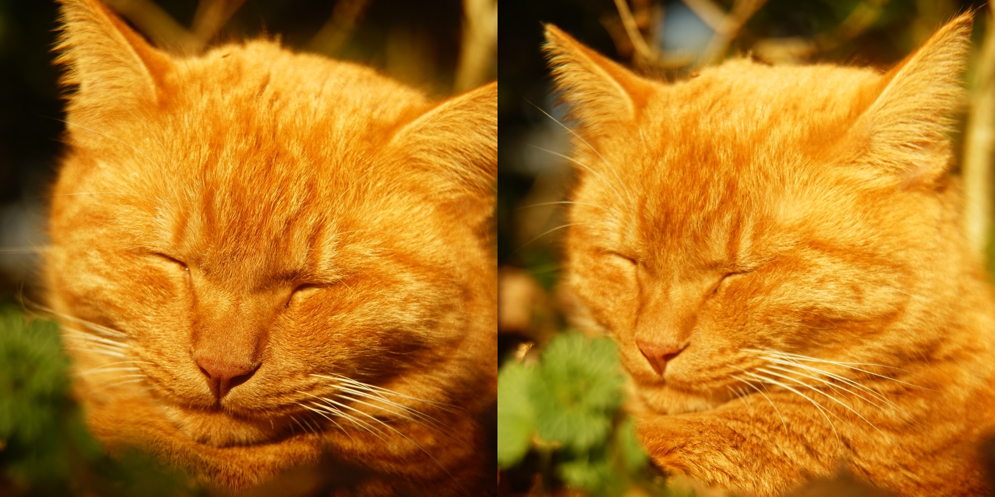 MIK JUNON ZOOM LENS f:3.2 37-75mm ～ 詳細不明のレンズ | 糸島が好き💛オールドレンズとイラストが好き